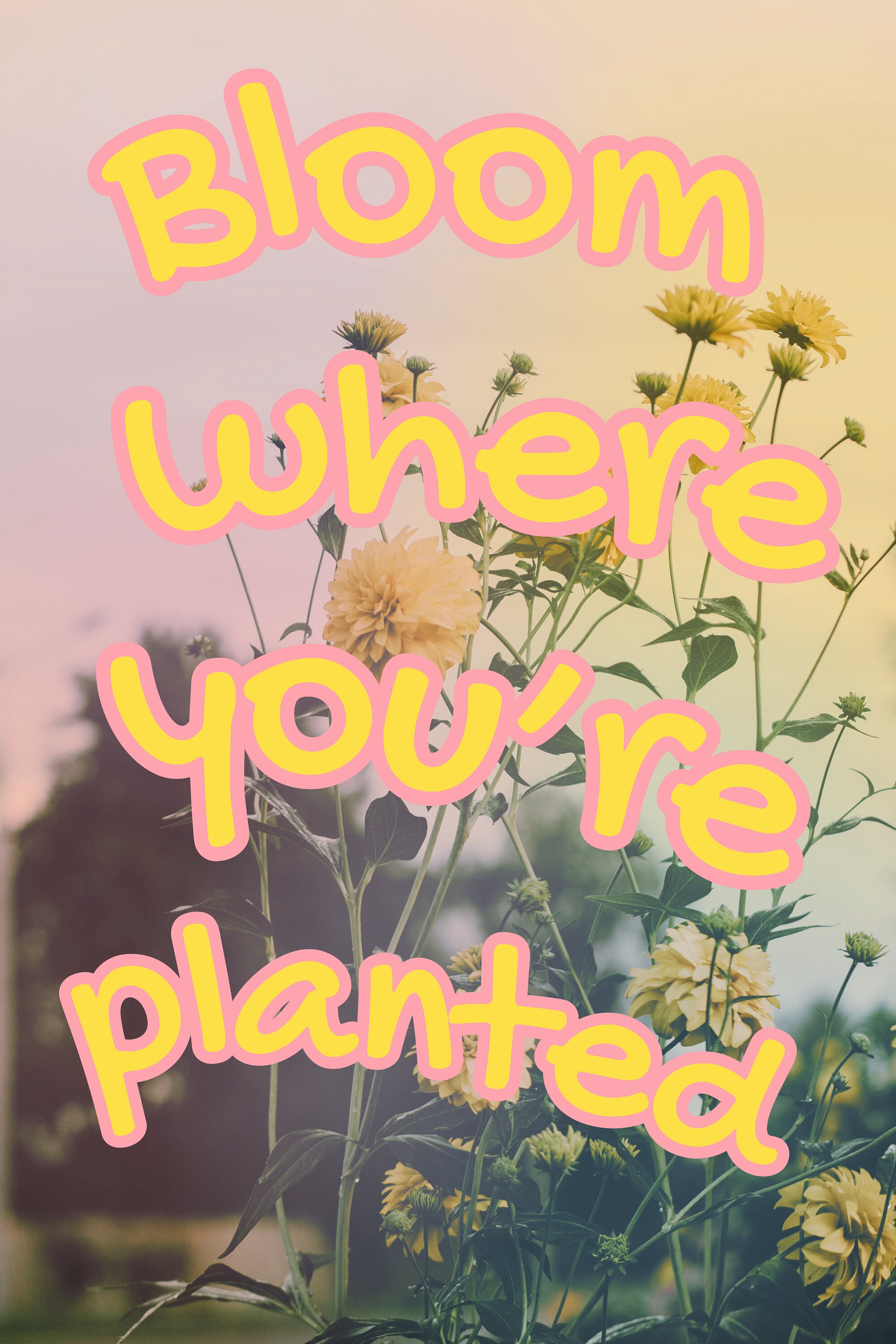 Bloom Where You're Planted Printable Motivational Poster - Etsy