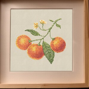 Botanical Clementine Cross Stitch Template | Stitch Kit Wall Art ...
