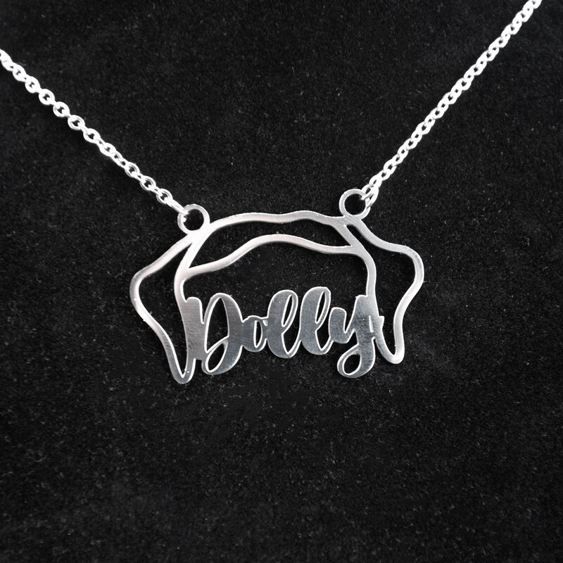 Dog Name Necklace - Etsy