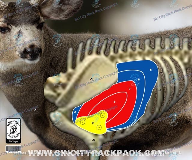 Big Game Mule Deer Paper Targets With Multi Ring Scoring, Vital ...