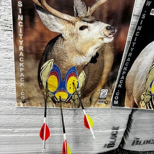 Big Game Mule Deer Paper Targets With Multi Ring Scoring, Vital ...