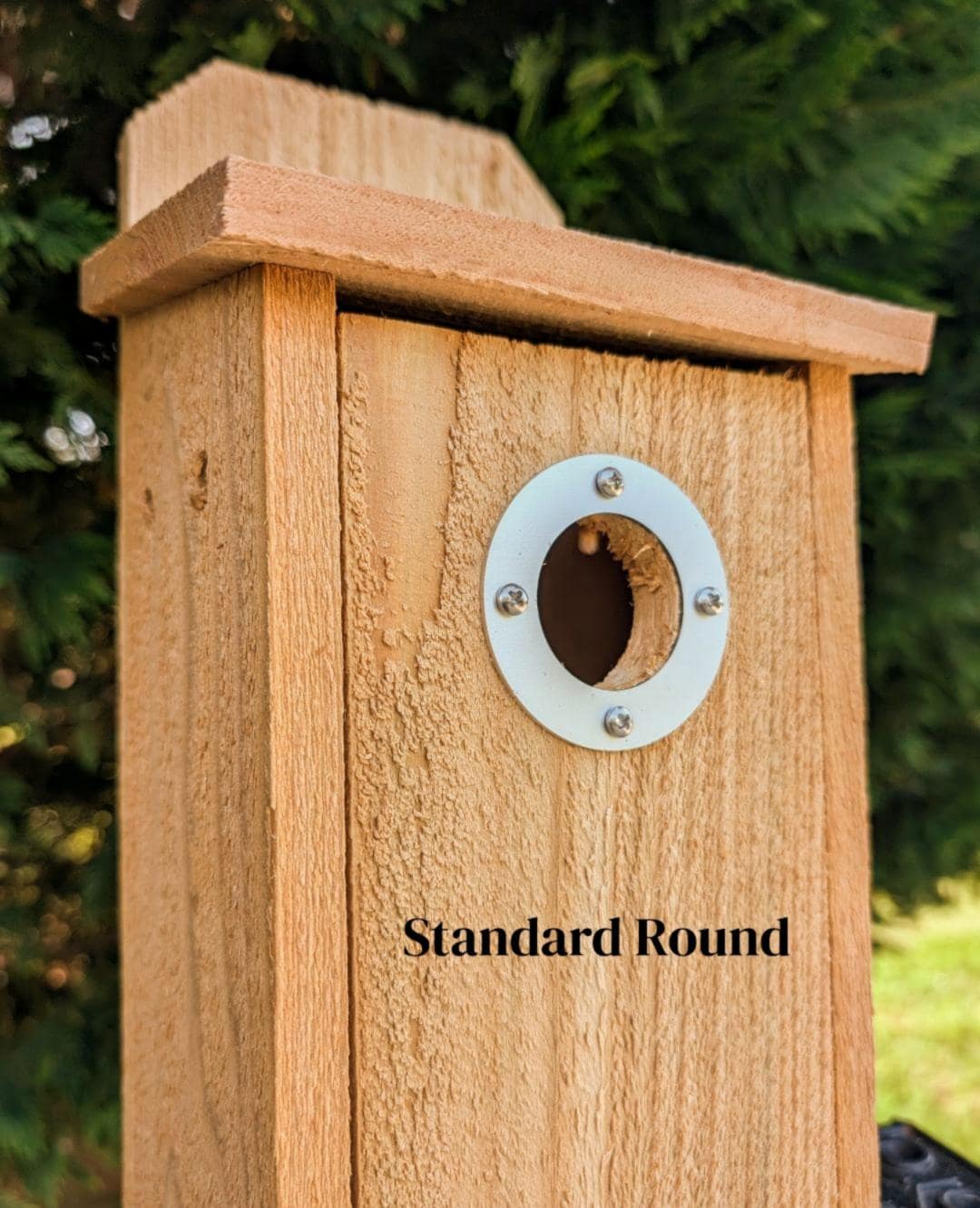 Birdhouse Hole Protector "standard Round" Custom Designed Laser Cut ...