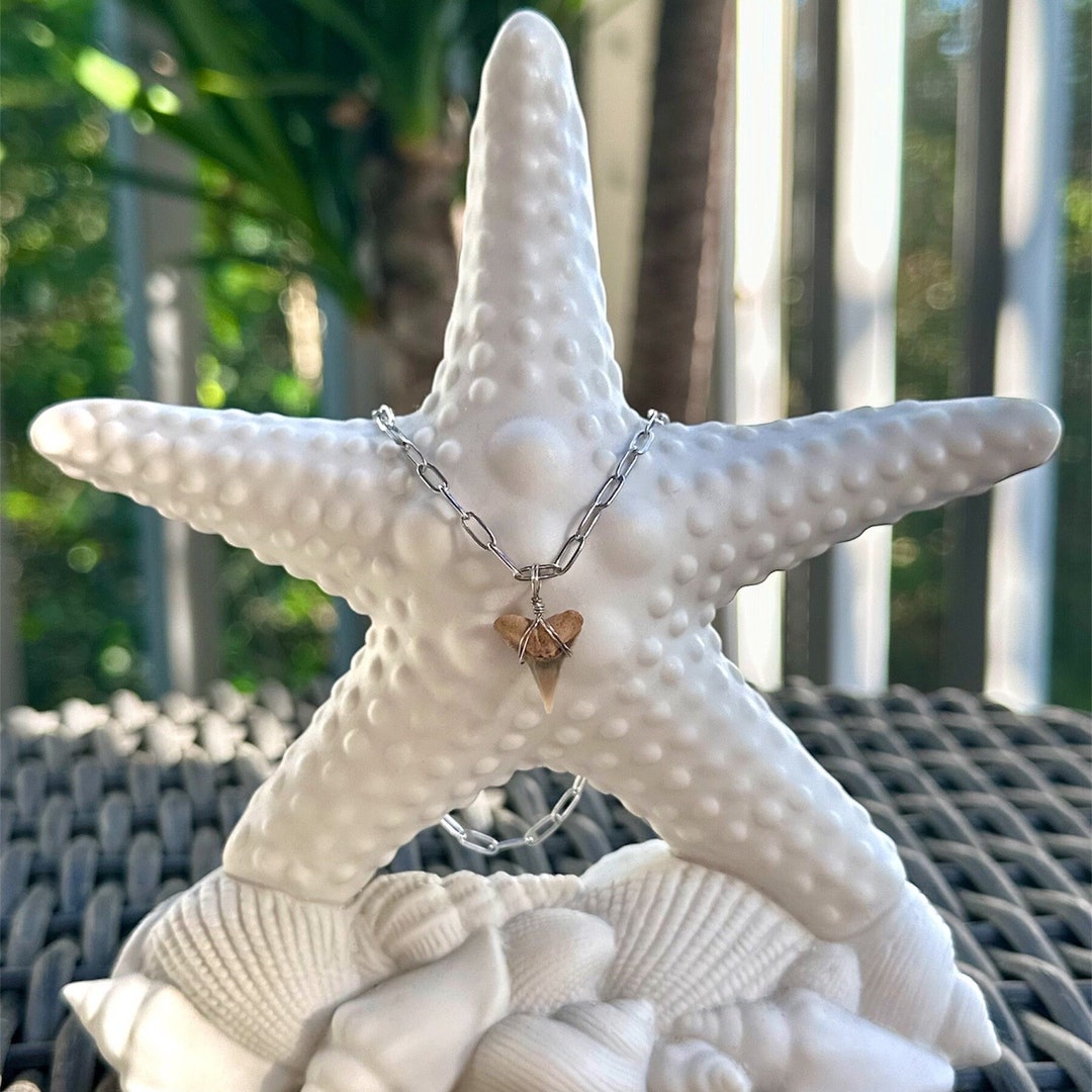 Shark Tooth Anklet, Panama City Beach Shark Tooth Anklet, Paperclip ...