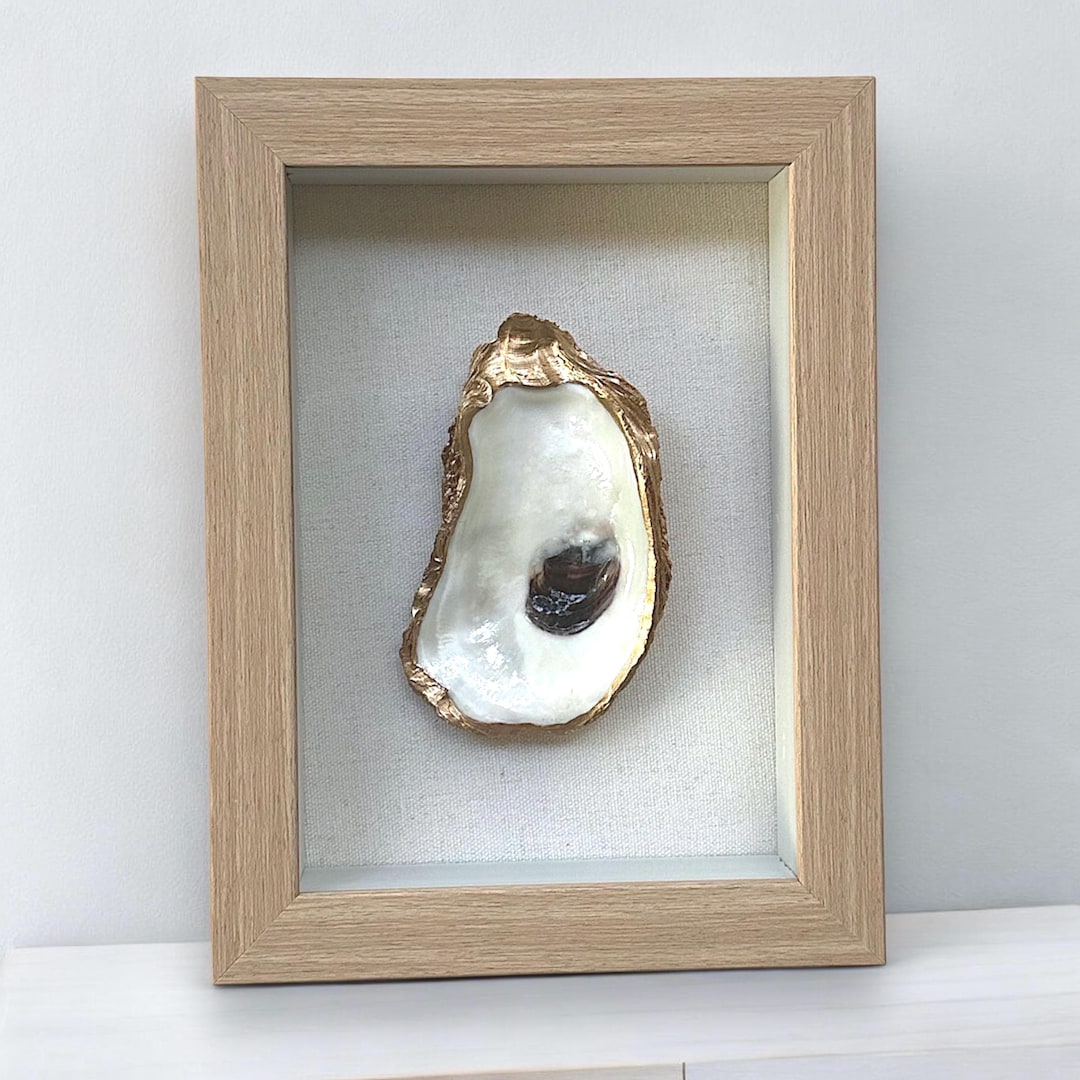 Oyster Shell Shadow Box, Oyster Shell Wall Art, Genuine Oyster Shell ...