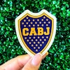 Racing Club Avellaneda Sticker Pack - Argentine Soccer Fan Gift - Etsy