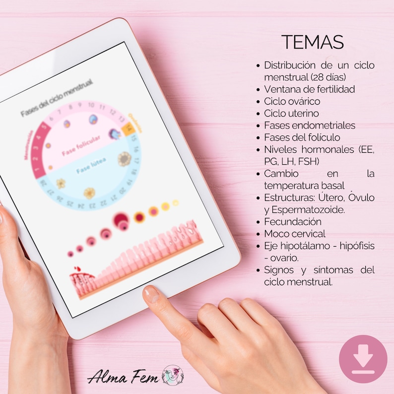 Esquemas y dibujos del CICLO MENSTRUAL / Material educativo de ...