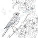 100 Coloring Page Pack Multi-theme, Family-friendly, Digital Download ...