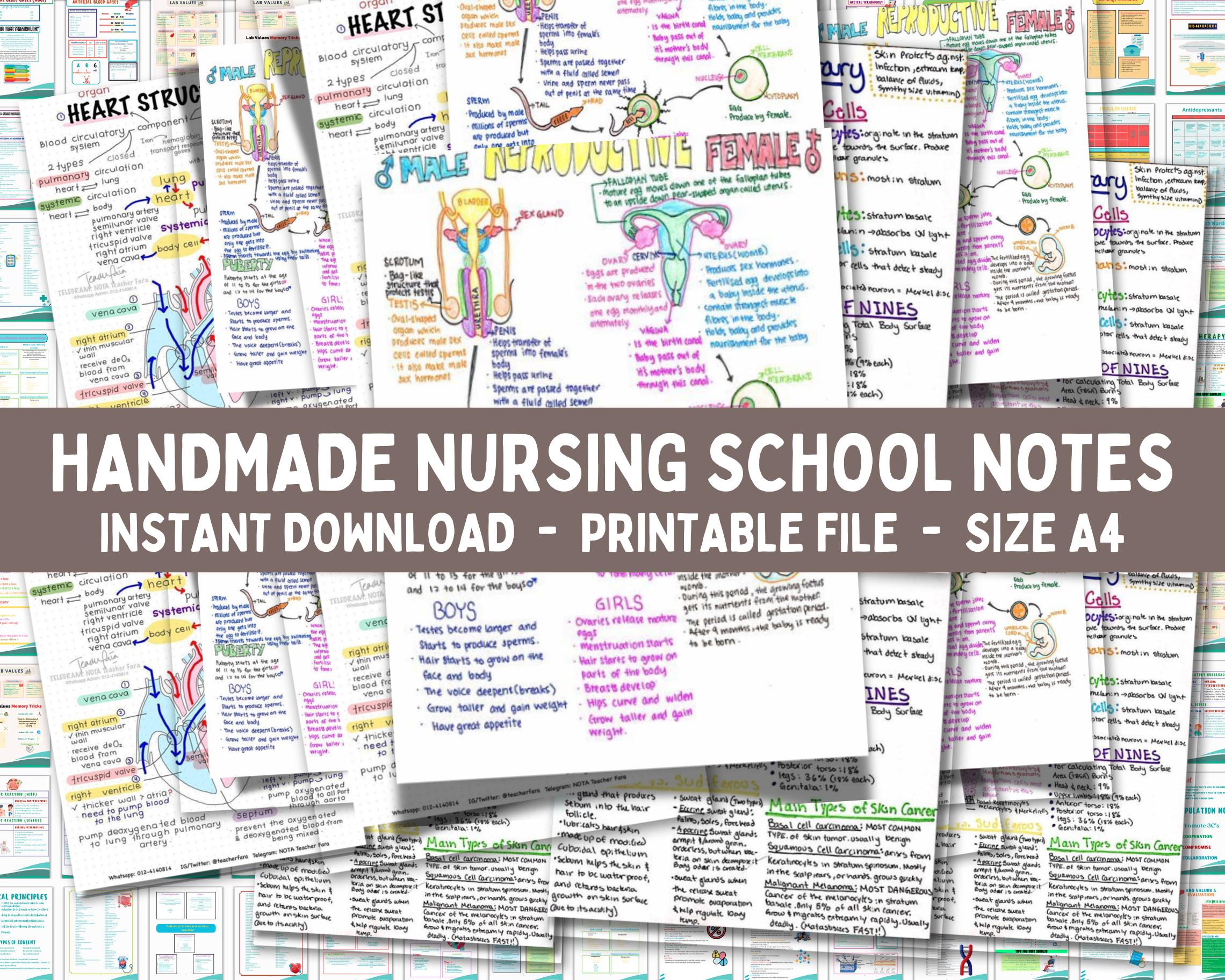 All-in-one Nursing School Notes, Guide for Nursing Students ...