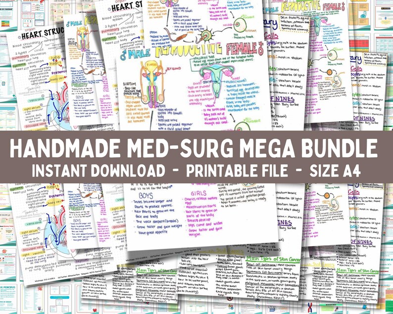 Med-surg Study Bundle Nursing Study Guide Med Surg Notes Medical ...