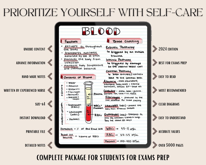 Comprehensive Nursing School Bundle With Hyperlinked Study Guide Bundle Nursing School Note ...