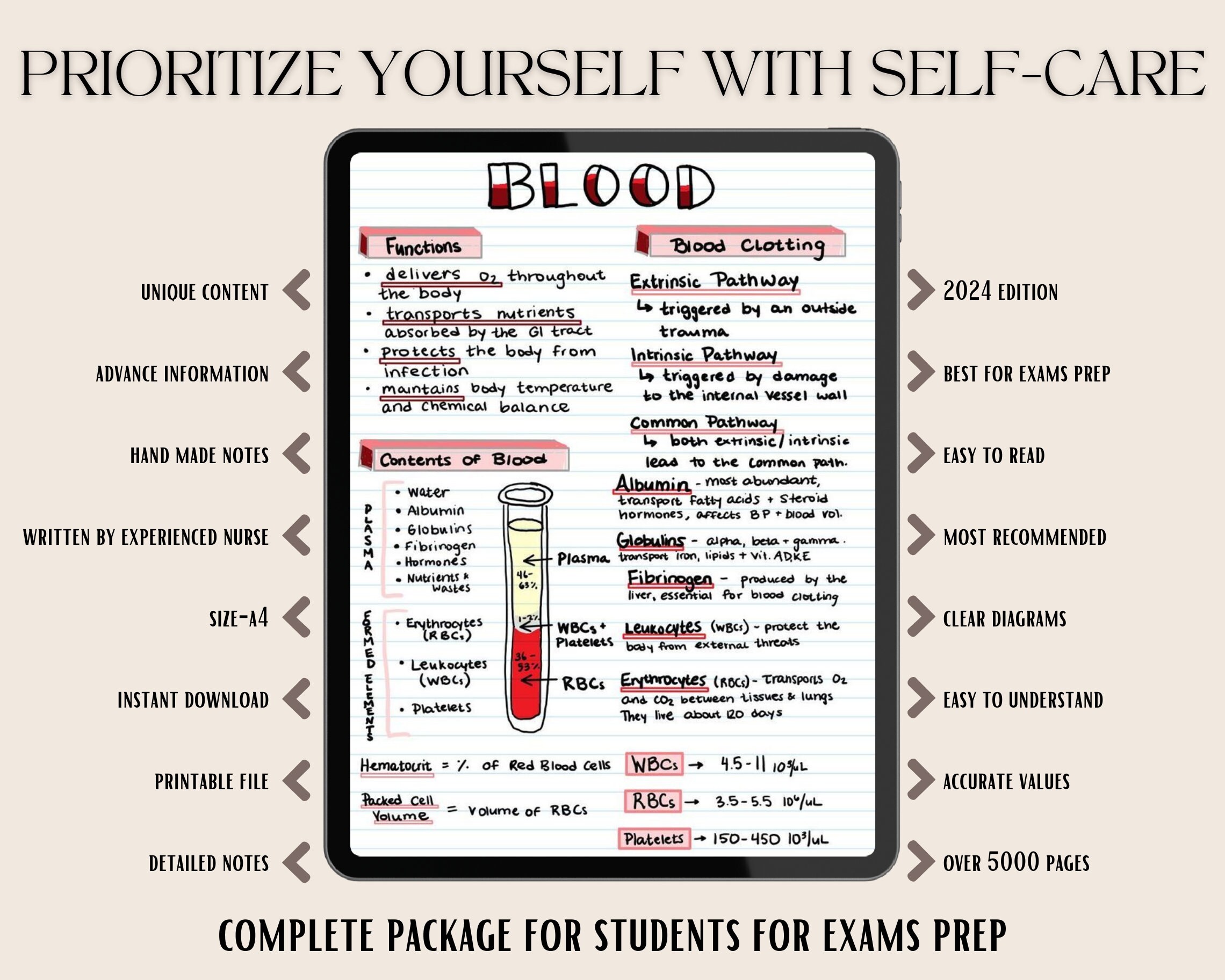 Comprehensive Nursing School Bundle With Hyperlinked Study Guide Bundle ...