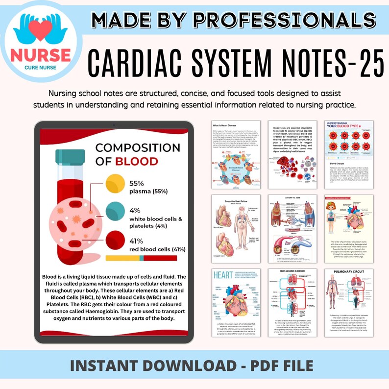 Cardiovascular System Anatomy Notes Instant Download Cardiac Nurse ...