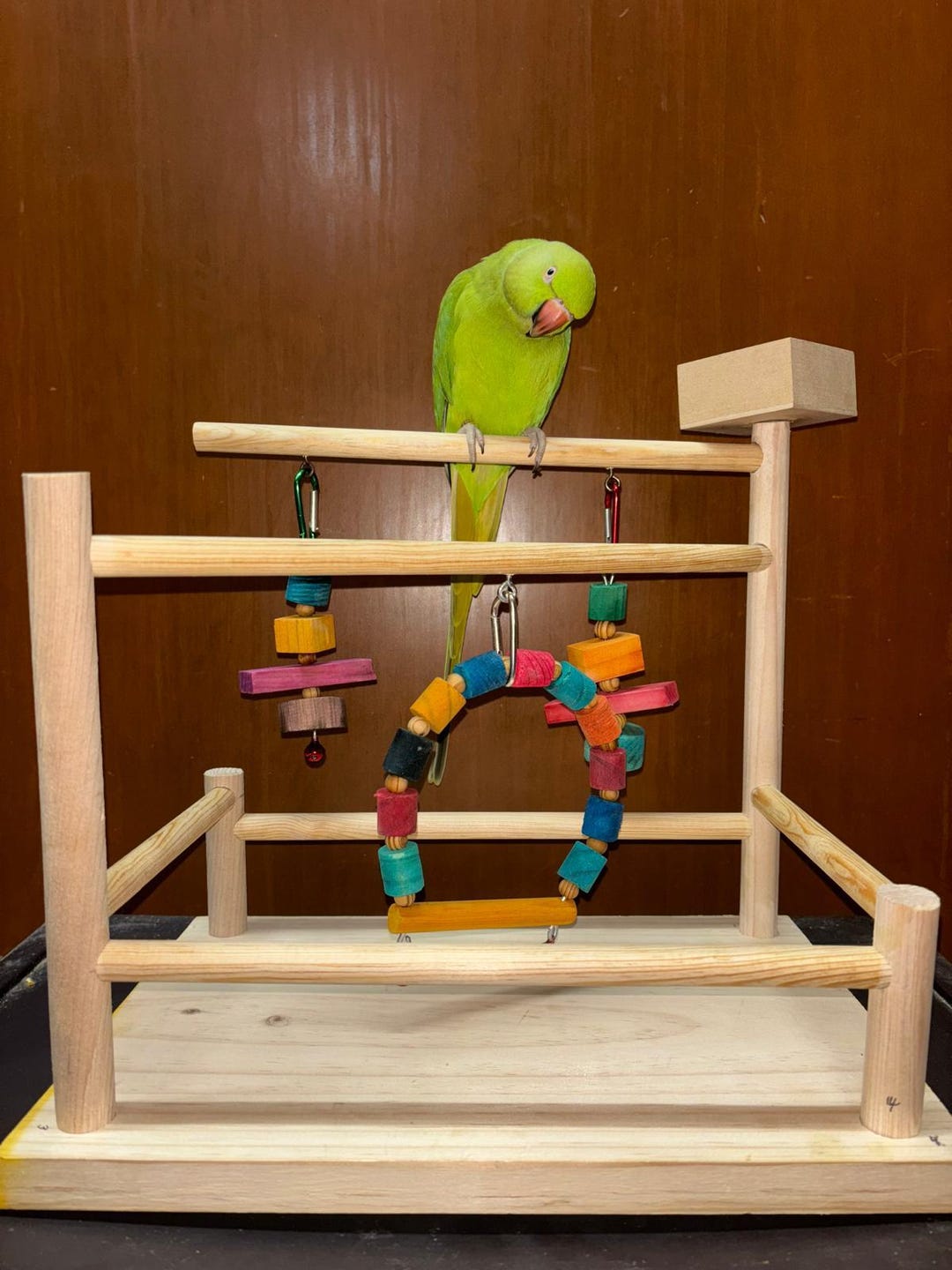 Bird Gym/playground for Small and Medium Sized Birds. Made of Wood for ...