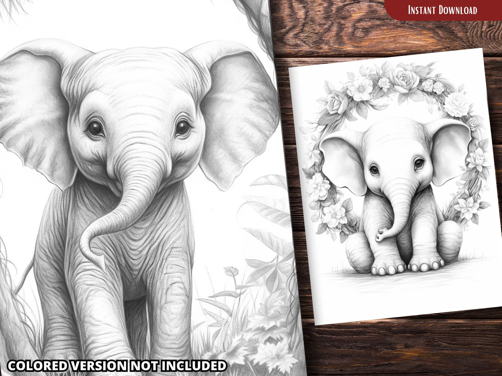 Cute Elephant Coloring Pages for Adults and for Kids for Relax and ...