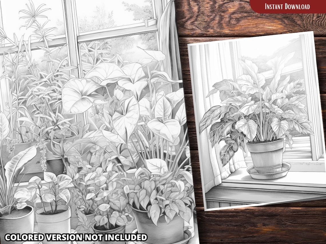House Plants Coloring Pages for Adults and for Kids, Grayscale Coloring ...