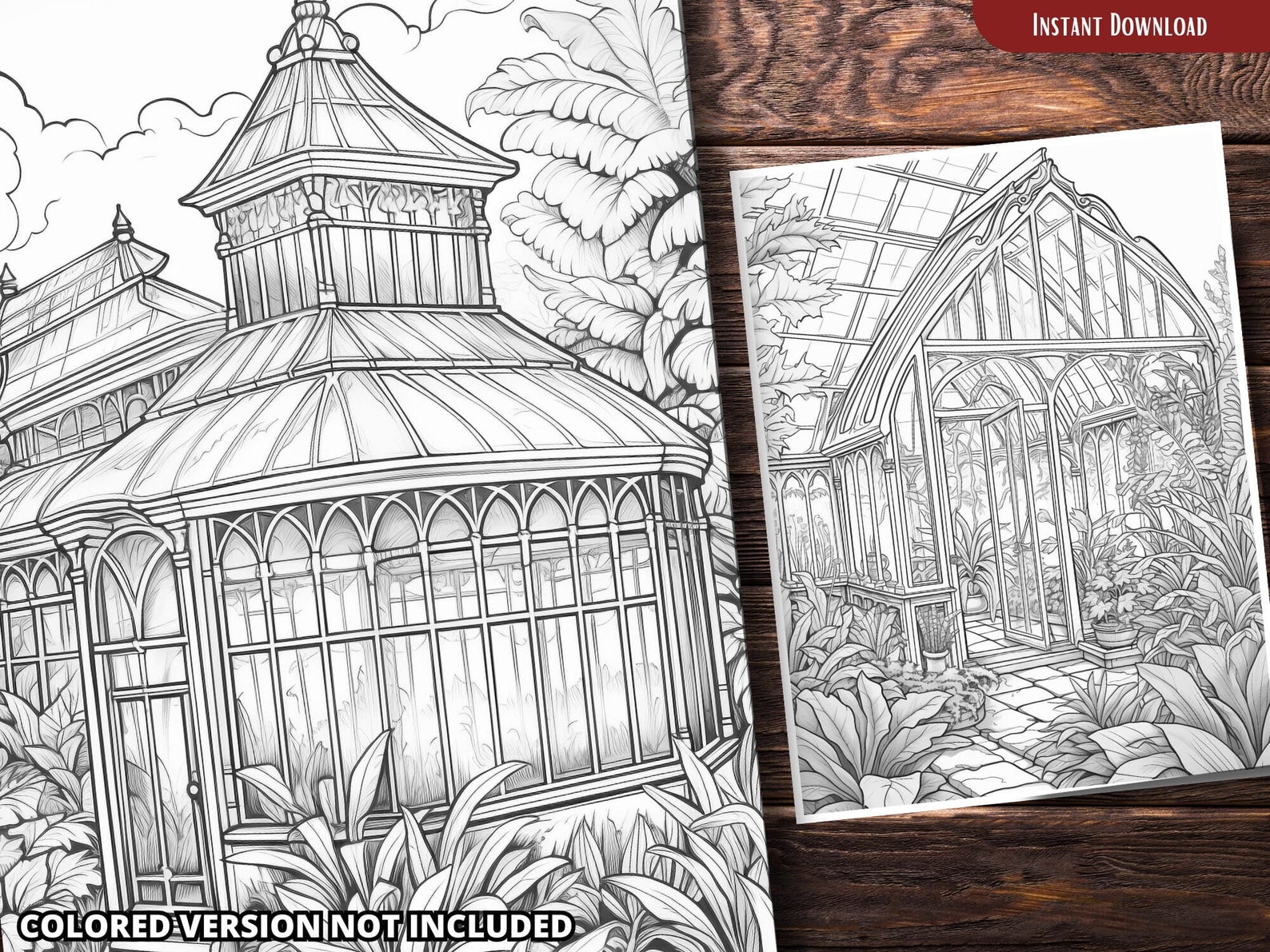 Greenhouse Coloring Pages, Grayscale Relaxing Places (printable PDF) - Etsy