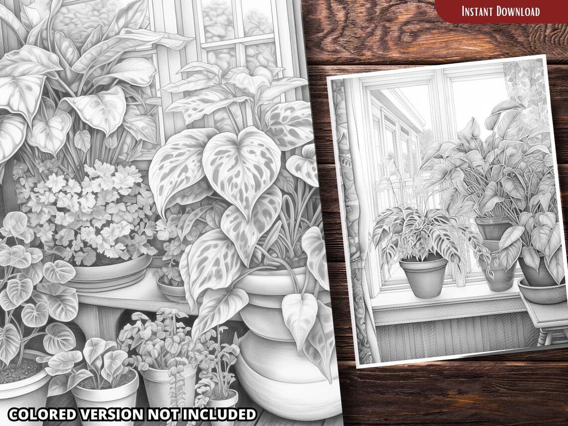 House Plants Coloring Pages for Adults and for Kids, Grayscale Coloring ...