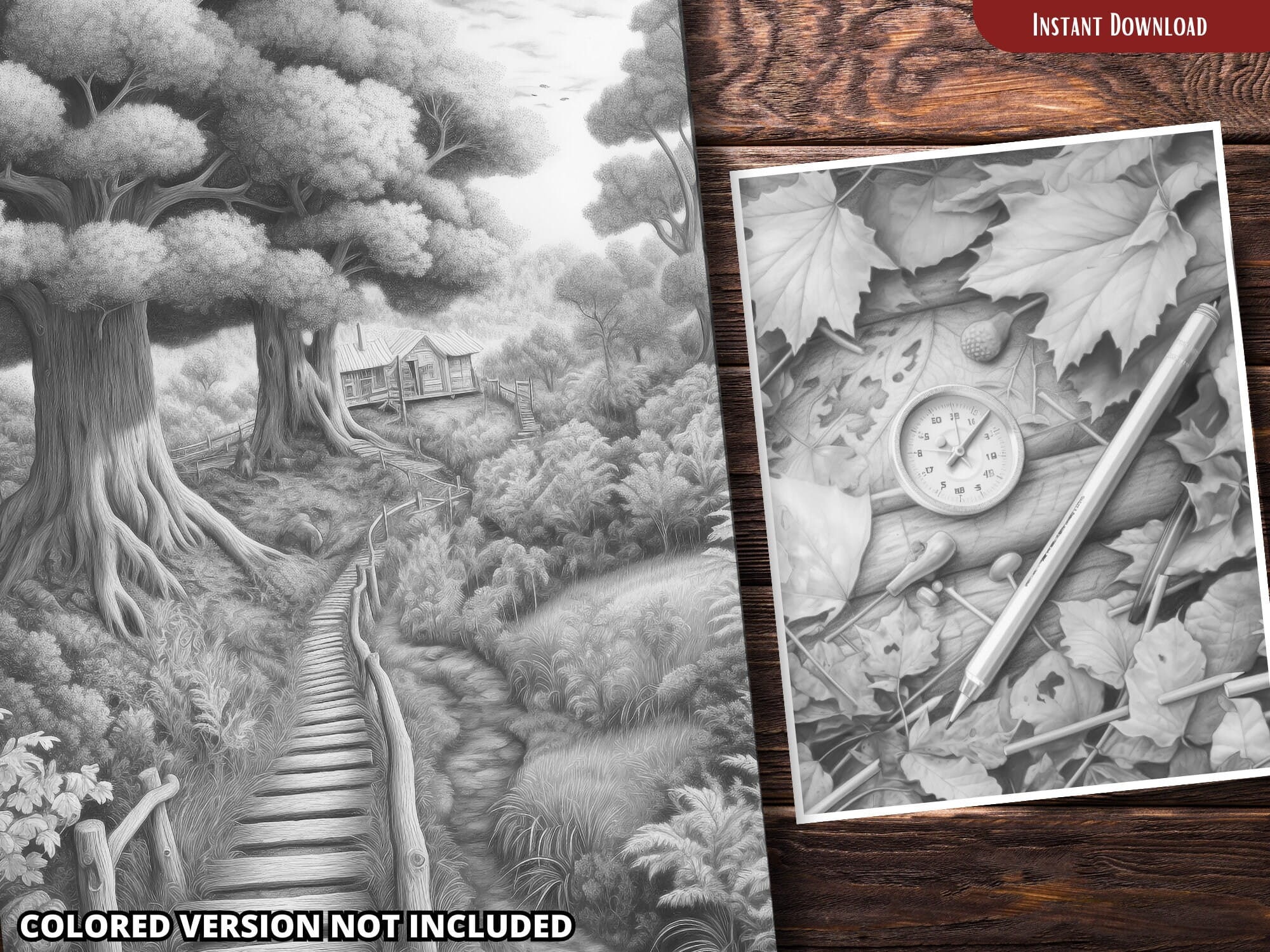Autumn Landscape Coloring Pages for Adults and for Kids for Relax and ...
