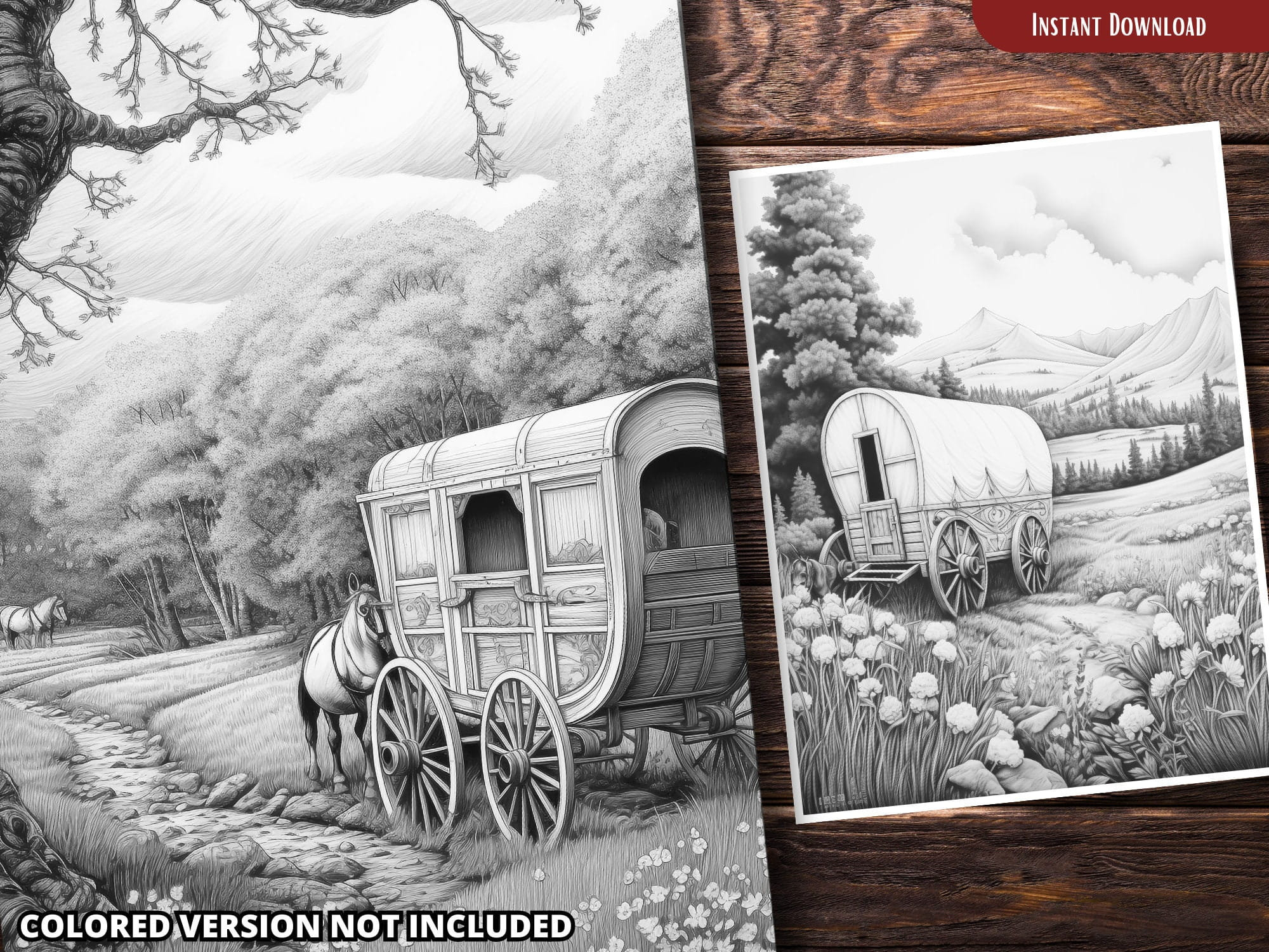 Fantasy Caravan House Coloring Pages for Adults and for Kids Grayscale ...