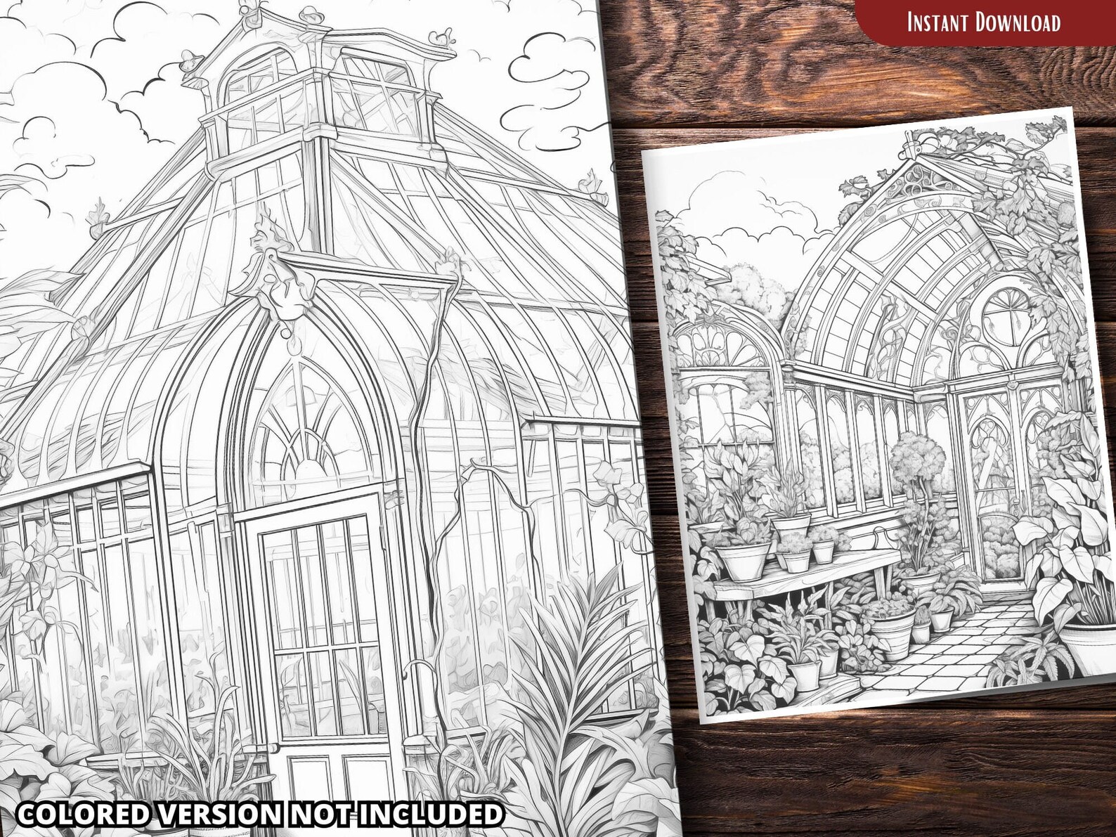 Greenhouse Coloring Pages, Grayscale Relaxing Places (printable PDF) - Etsy