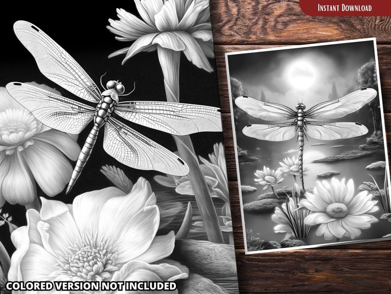 Dragonfly Coloring Pages for Adults and for Kids for Relax and Stress ...