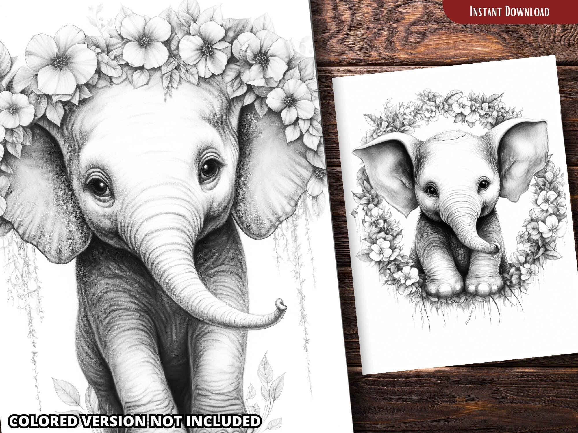 Cute Elephant Coloring Pages for Adults and for Kids for Relax and ...