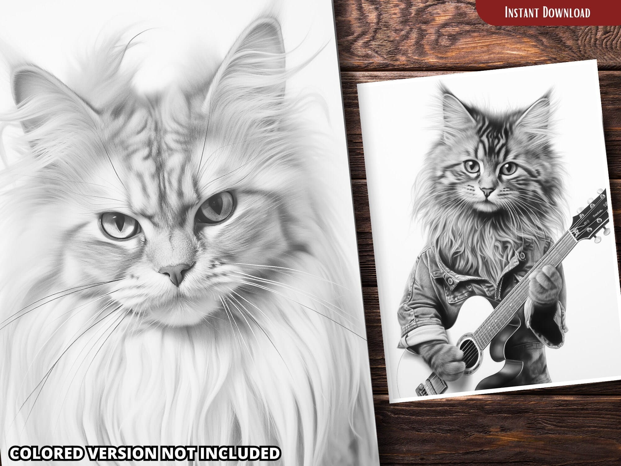 Crazy Cat Coloring Pages for Adults and for Kids for Relax and Stress ...