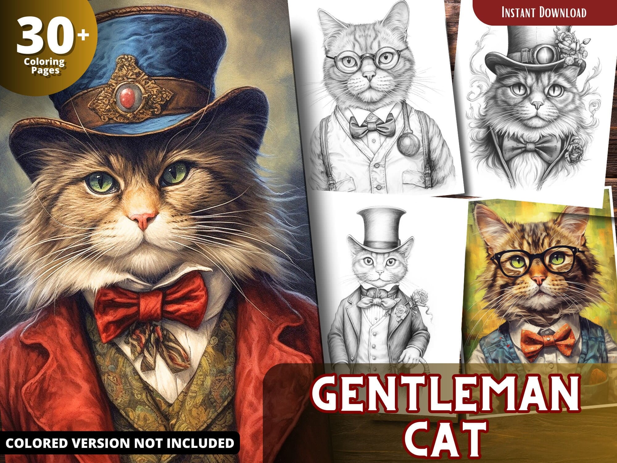 Gentleman Cat Coloring Pages for Adults and for Kids for Relax and ...