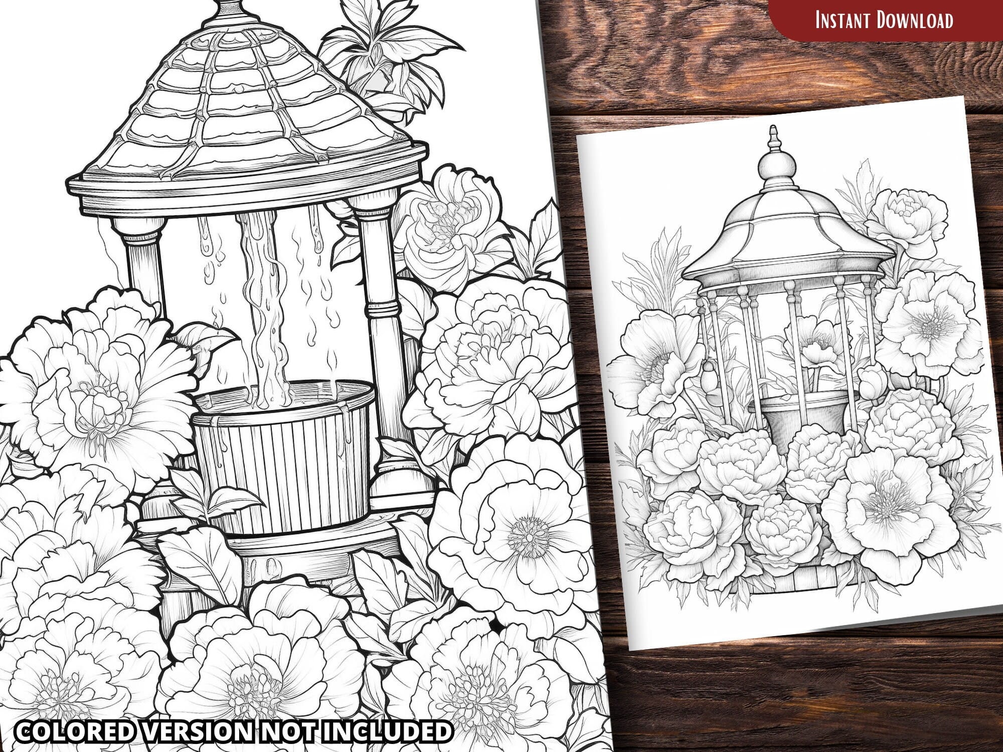 Wishing Well Coloring Pages for Adults and for Kids, Grayscale Coloring ...