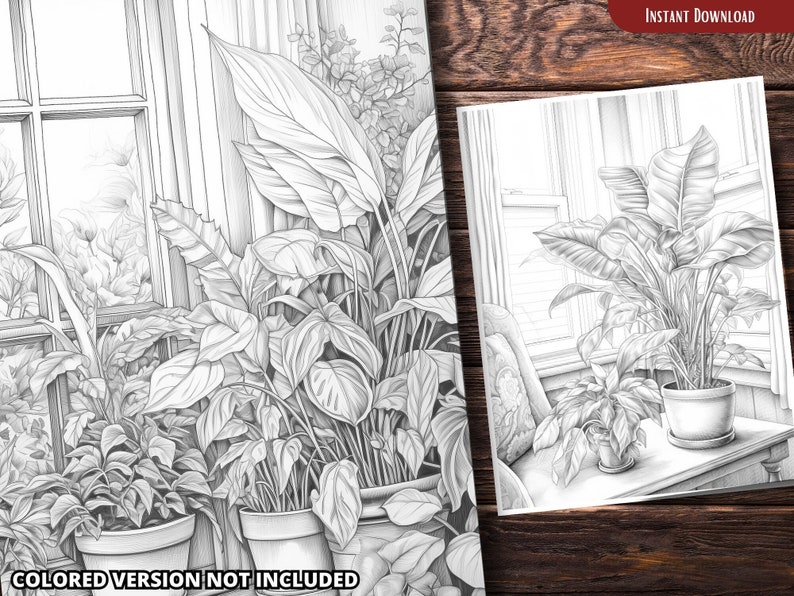 House Plants Coloring Pages for Adults and for Kids, Grayscale Coloring ...