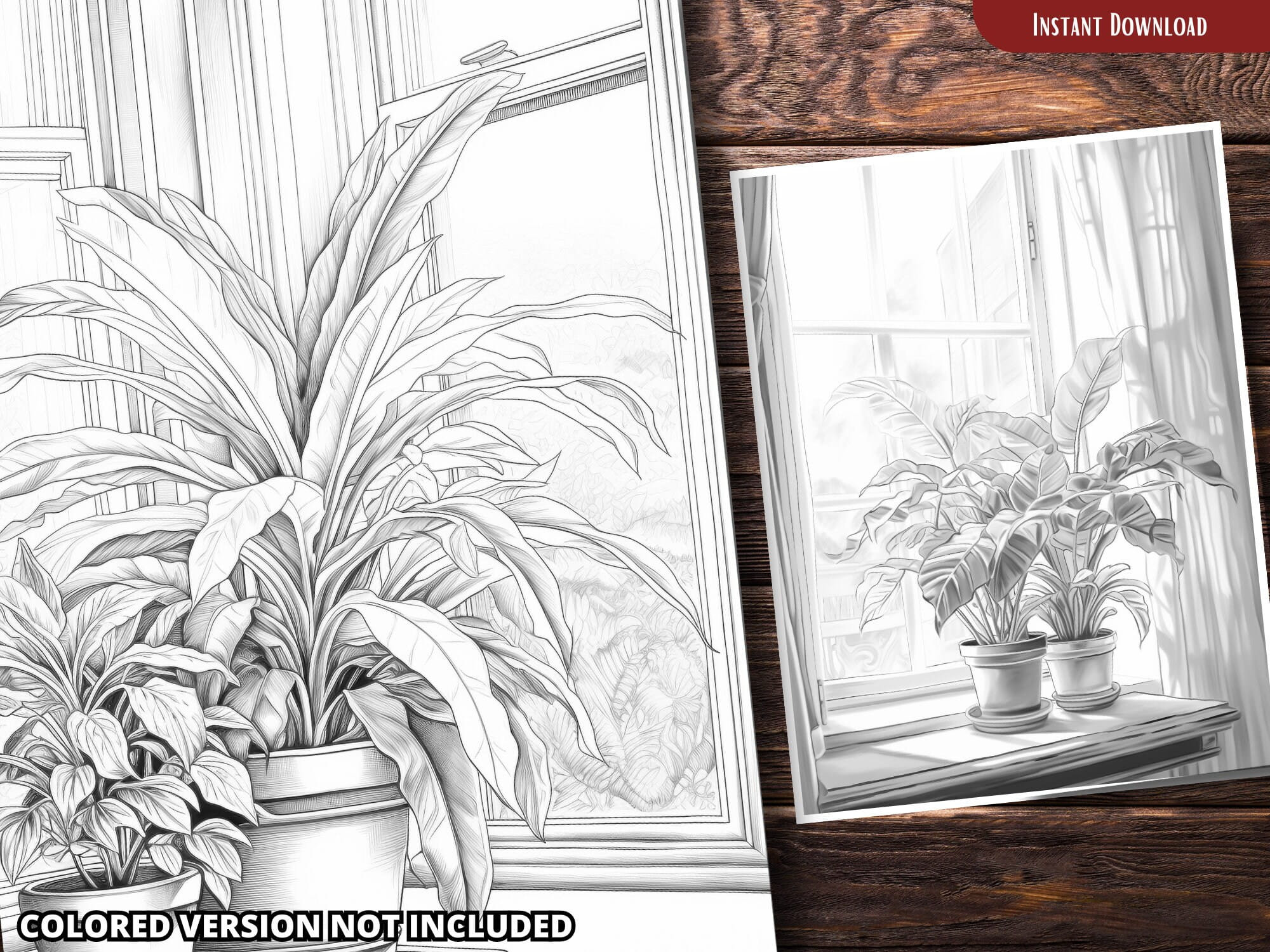 House Plants Coloring Pages for Adults and for Kids, Grayscale Coloring ...