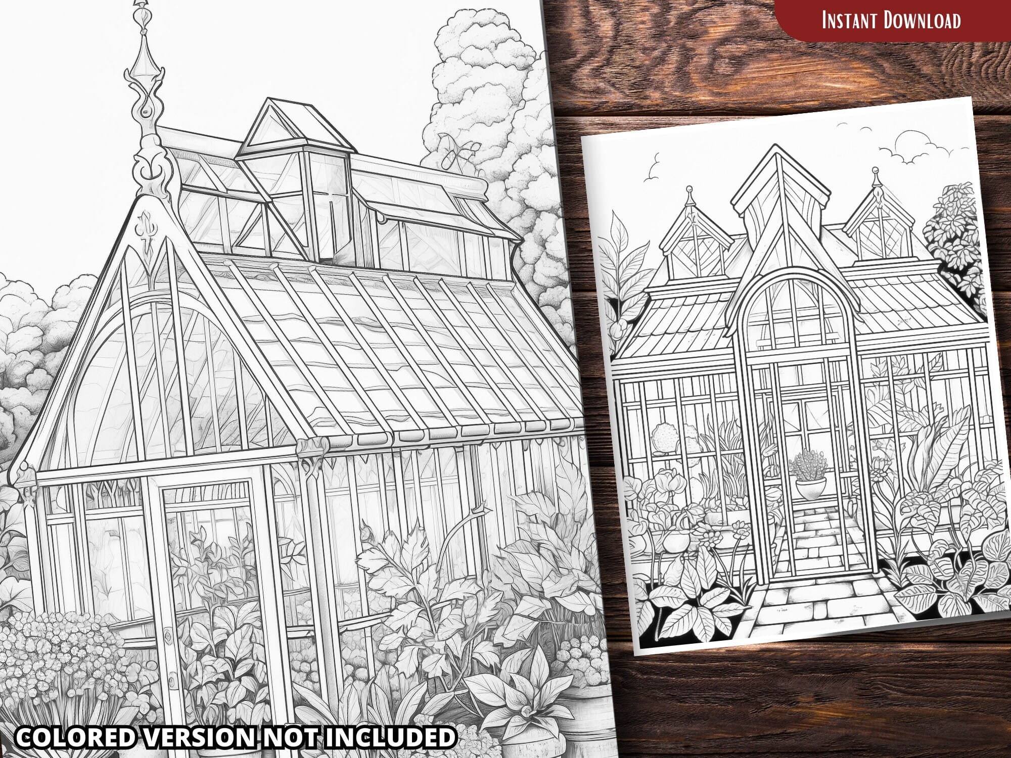 Greenhouse Coloring Pages, Grayscale Relaxing Places (printable PDF) - Etsy