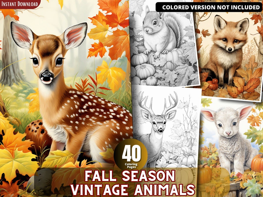 Fall Season Animals Coloring Pages for Adults and for Kids for Relax ...