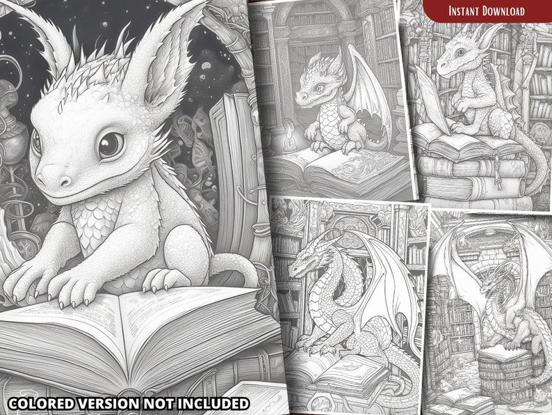 Fantasy Dragon in Library Coloring Pages for Adults and for Kids ...
