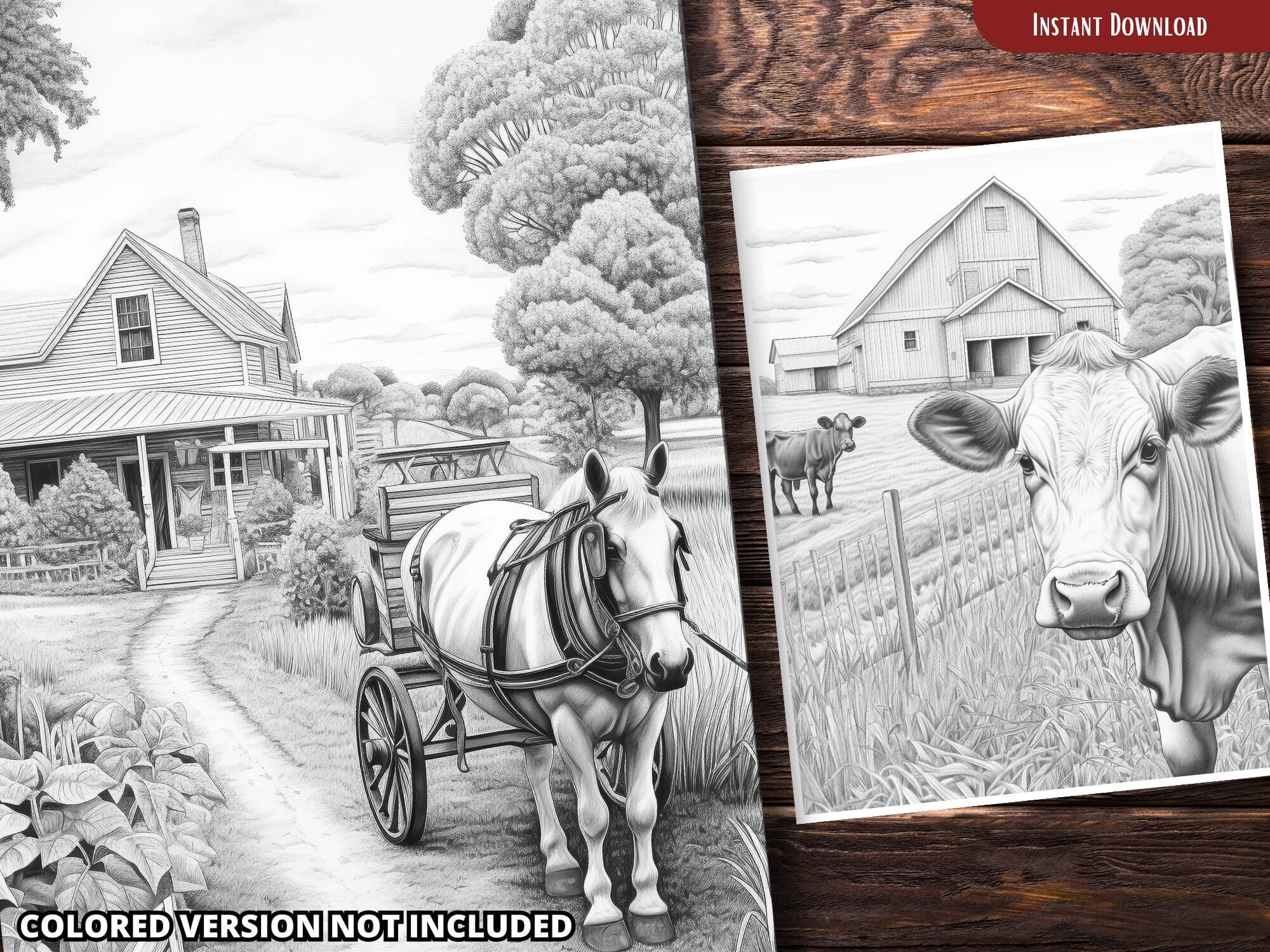 Country Farm Coloring Pages for Adults and for Kids for Relax and ...