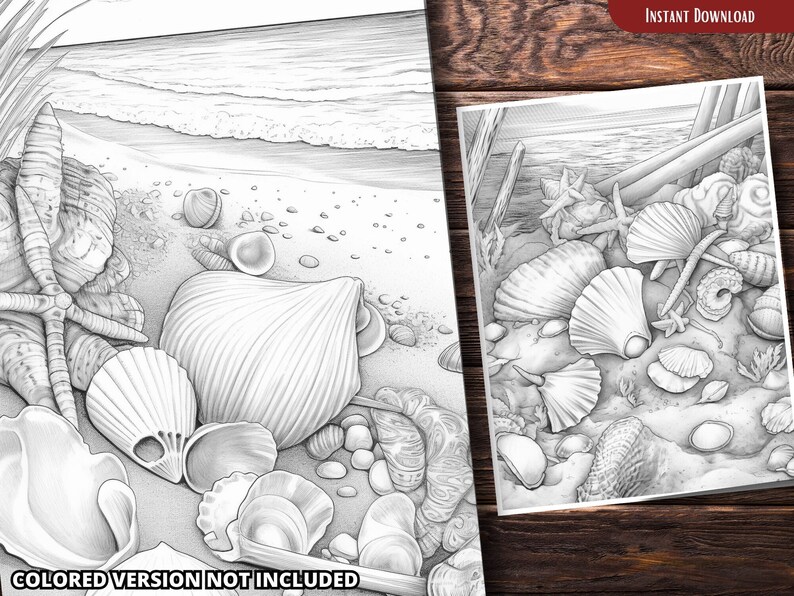 Shells Coloring Pages Pages for Adults and for Kids for Relax and ...