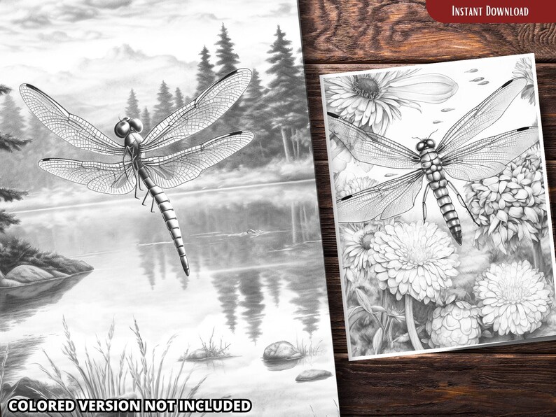 Dragonfly Coloring Pages for Adults and for Kids for Relax and Stress ...