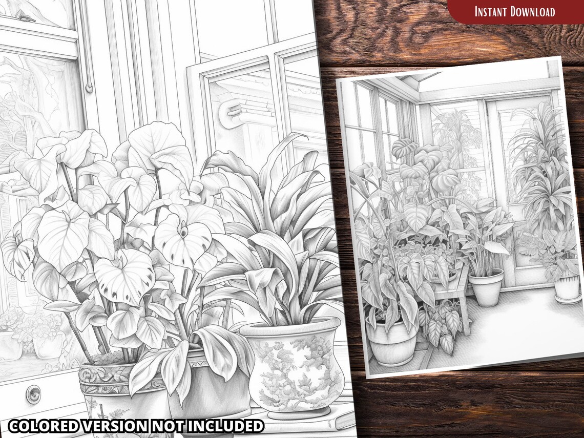 House Plants Coloring Pages for Adults and for Kids, Grayscale Coloring ...