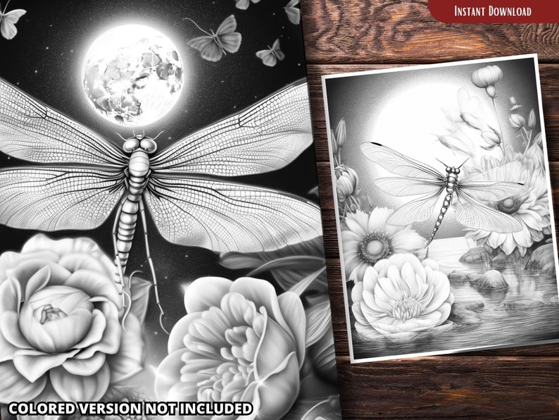Dragonfly Coloring Pages for Adults and for Kids for Relax and Stress ...