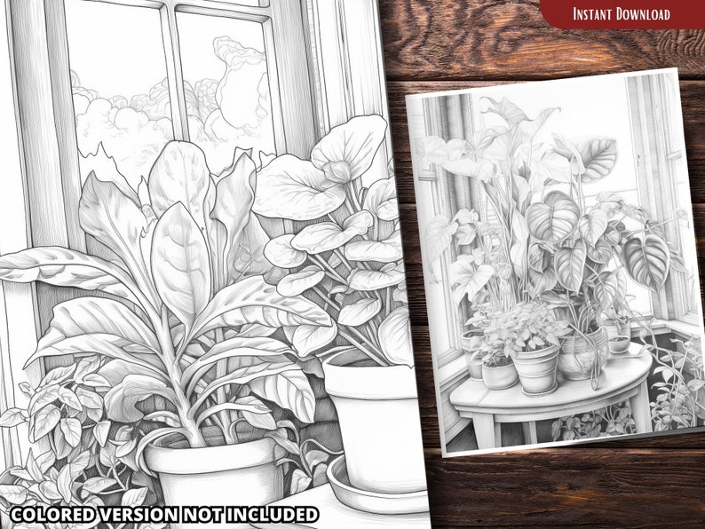 House Plants Coloring Pages for Adults and for Kids, Grayscale Coloring ...