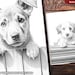 Dogs Coloring Pages for Adults and for Kids for Relax and Stress Relief ...