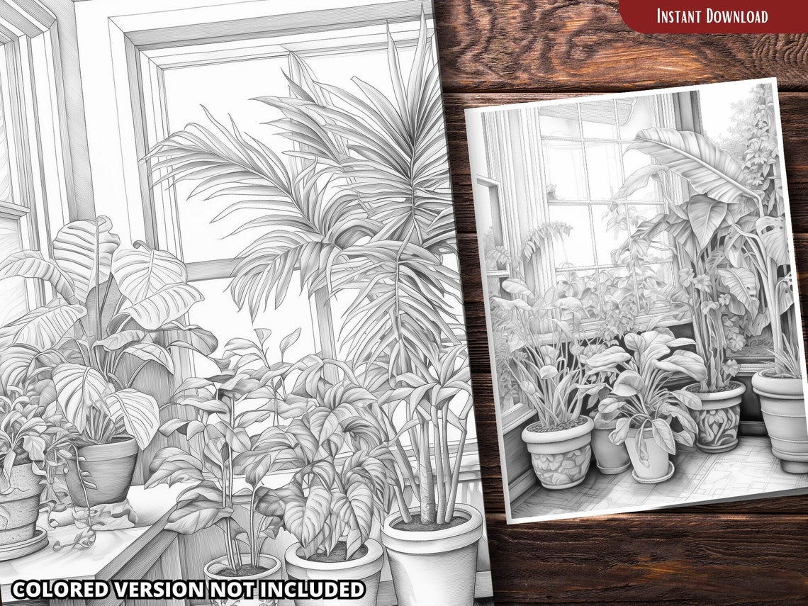 House Plants Coloring Pages for Adults and for Kids, Grayscale Coloring ...