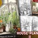 House Plants Coloring Pages for Adults and for Kids, Grayscale Coloring ...