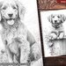 Dogs Coloring Pages for Adults and for Kids for Relax and Stress Relief ...