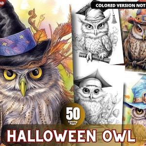 Halloween Owl Coloring Pages for Adults and for Kids for Relax and ...