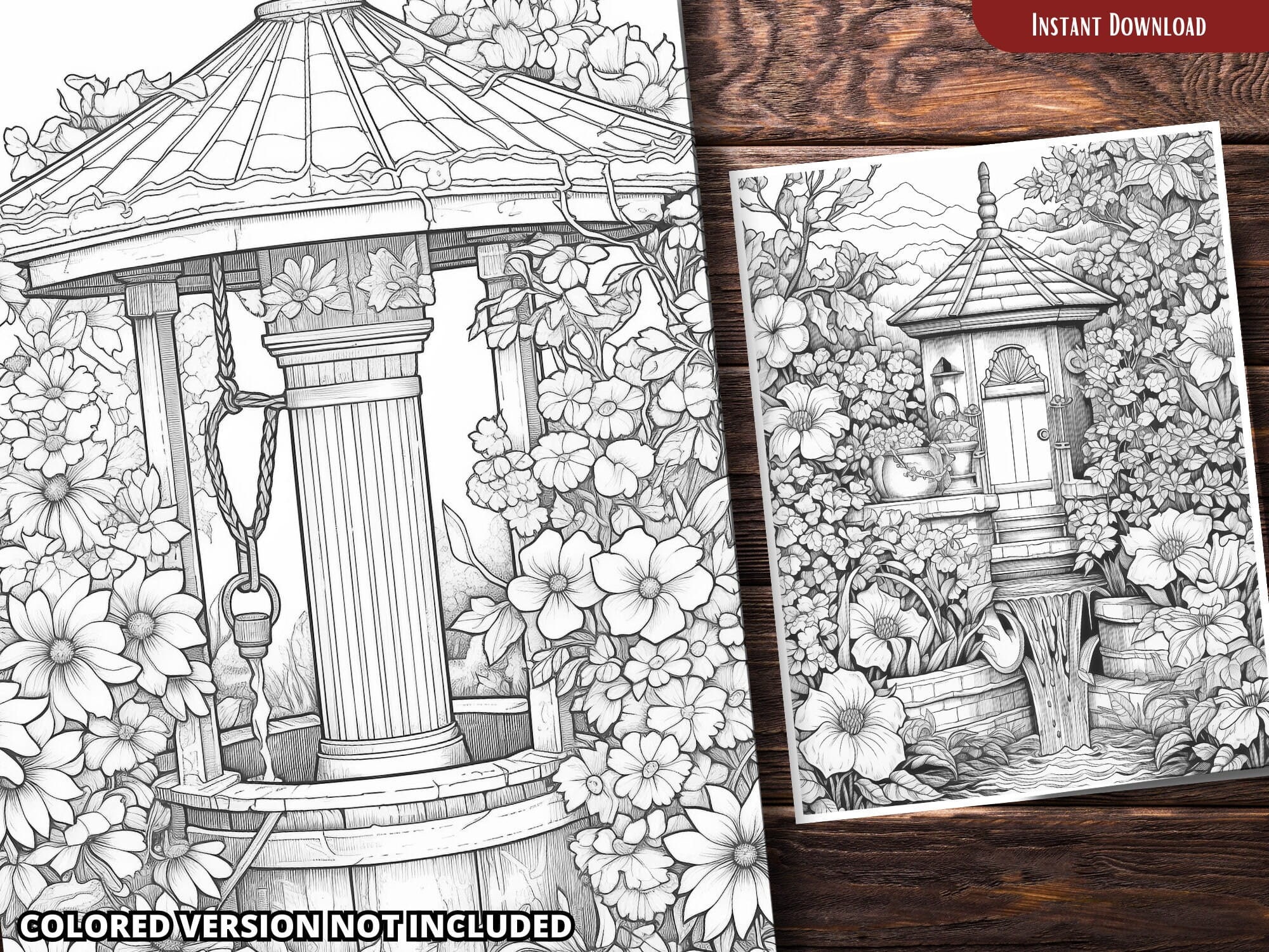 Wishing Well Coloring Pages for Adults and for Kids, Grayscale Coloring ...