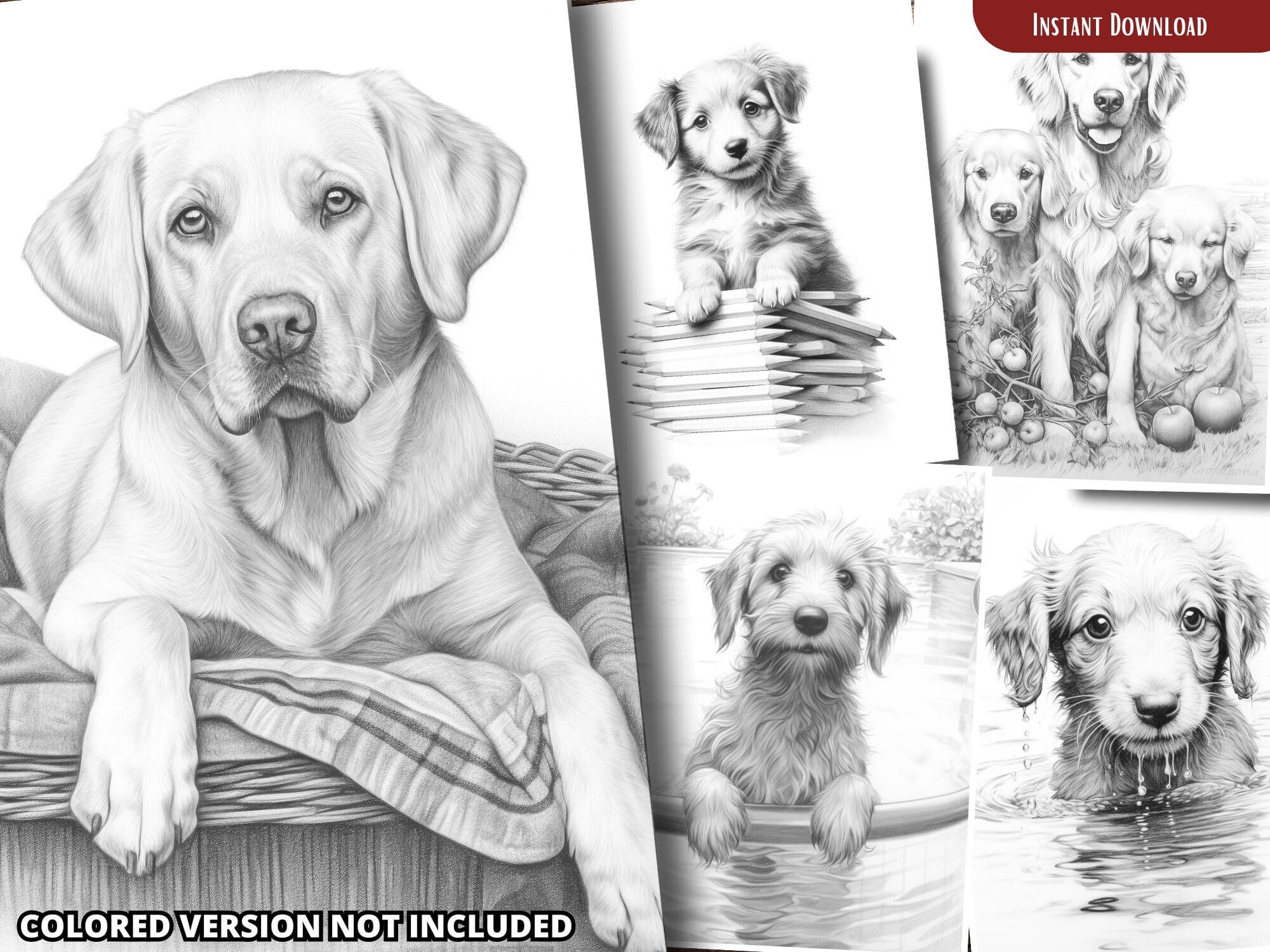 Dogs Coloring Pages for Adults and for Kids for Relax and Stress Relief ...