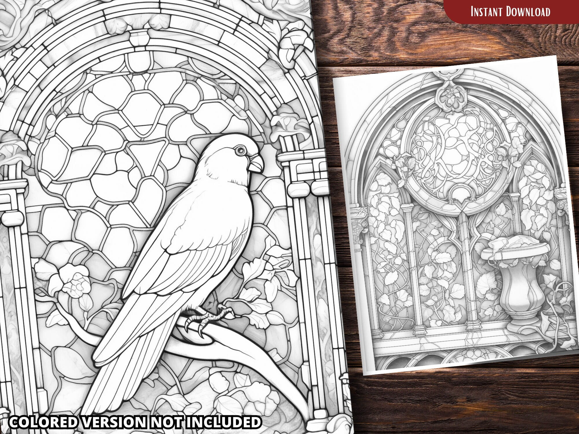 Stained Glass Collection Coloring Pages for Adults and for Kids ...