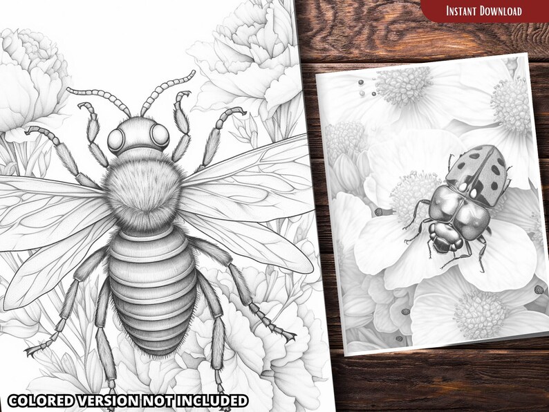 Flying Insects Coloring Pages for Adults and for Kids, Grayscale ...