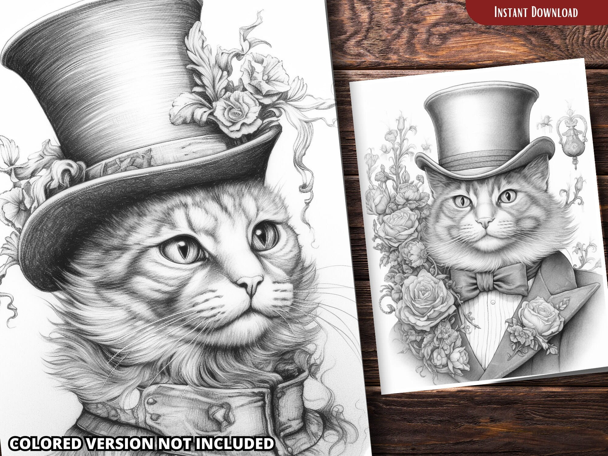Gentleman Cat Coloring Pages for Adults and for Kids for Relax and ...